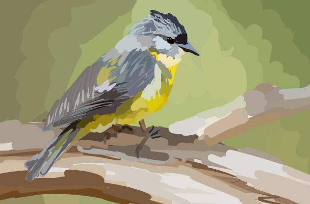 bird 1 (remake) lazy WIP - ibisPaint