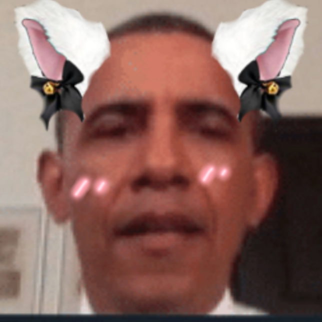 obama catboy - ibisPaint