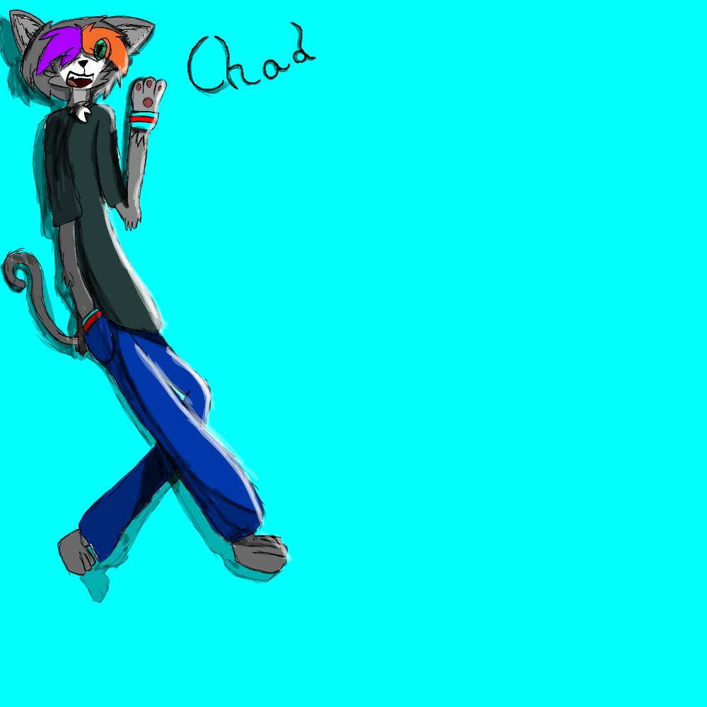 Chad - ibisPaint