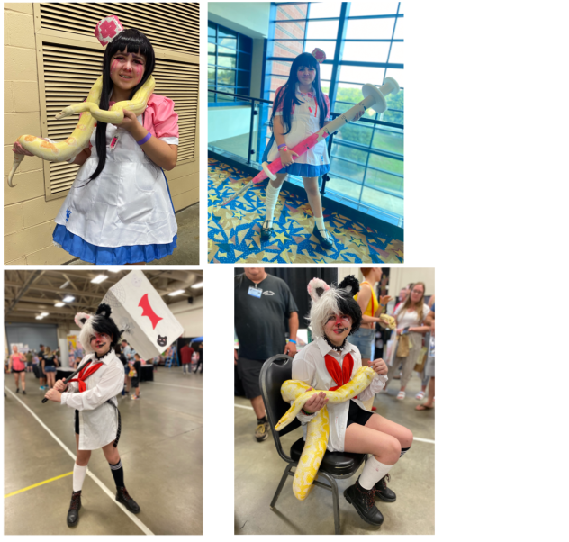 This is for a school project - ibisPaint