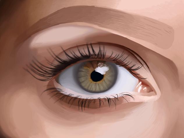 EYE SEE YOU - ibisPaint