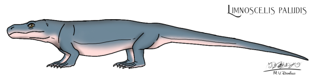 Limnoscelis paludis - ibisPaint