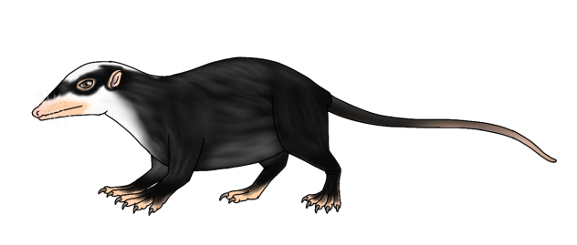 Malaysian Moonrat - ibisPaint