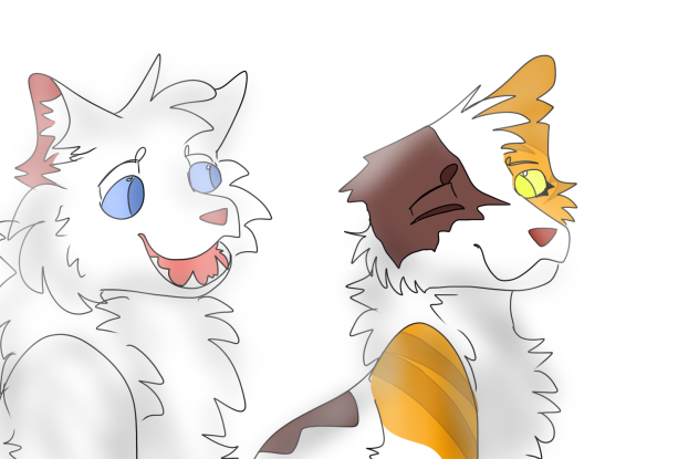 Brightheart and Cloudtail - ibisPaint