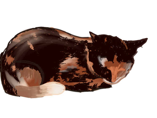 Cat reference - ibisPaint