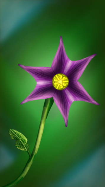 The magic flower - ibisPaint
