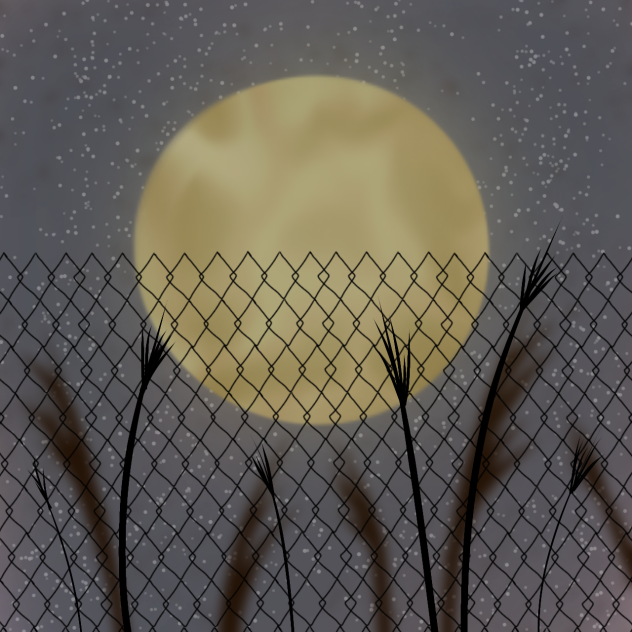 moon night 🌕 - ibisPaint