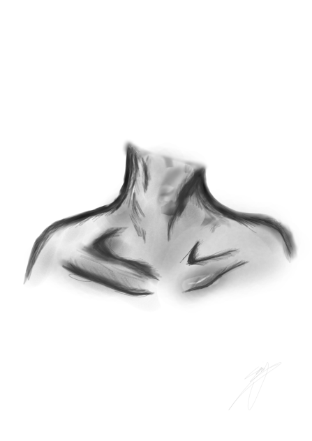 Neck,collarbone reference - ibisPaint