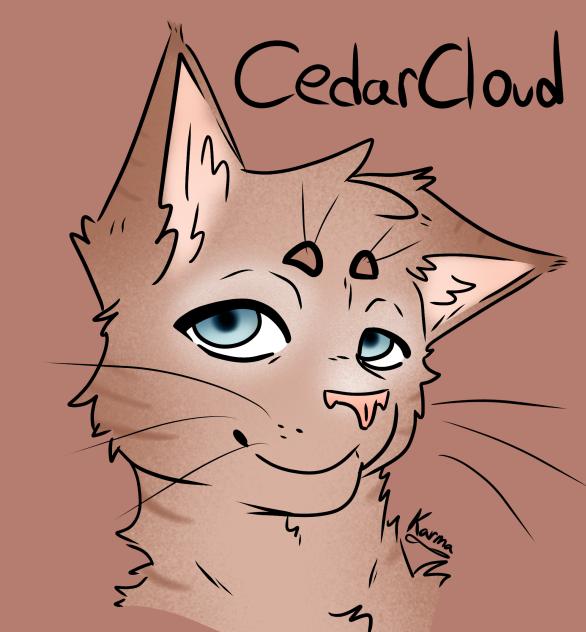 Warrior cats OC CedarCloud - ibisPaint