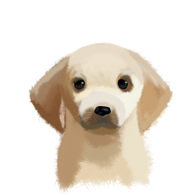 puppy - ibisPaint