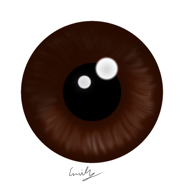 Brown Eye - ibisPaint