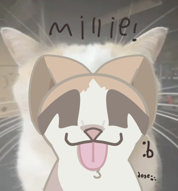 Silly cat - ibisPaint