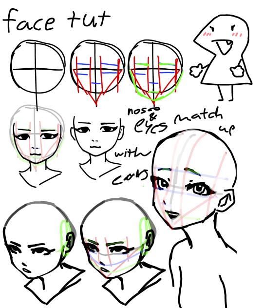 face structure tut - ibisPaint