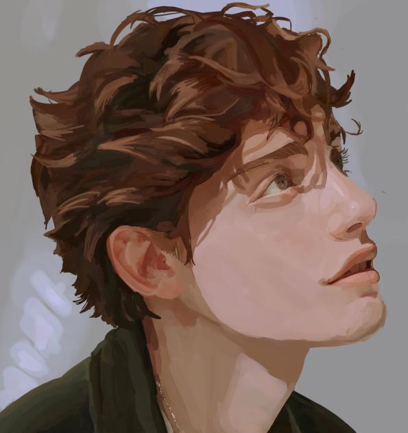 Reference Study - ibisPaint