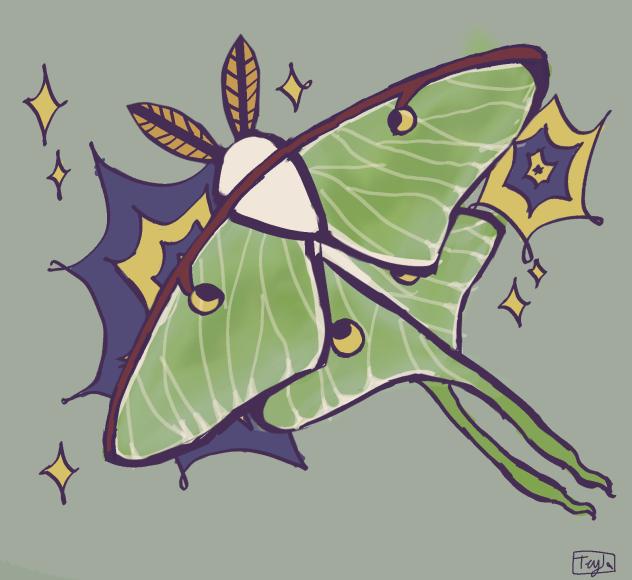 Luna moth - ibisPaint
