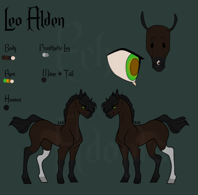 Leo Alden - Reference Sheet - ibisPaint