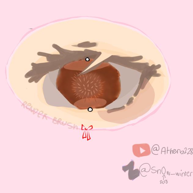 brown eyes - ibisPaint