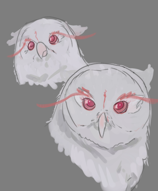 Owl practice - ibisPaint
