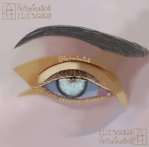 Eye Study - ibisPaint