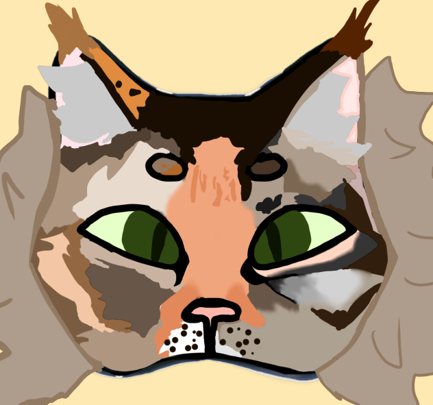 Maine coon calico cat mask idea - ibisPaint
