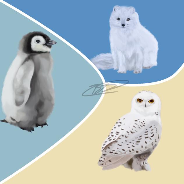 Cute animals - ibisPaint