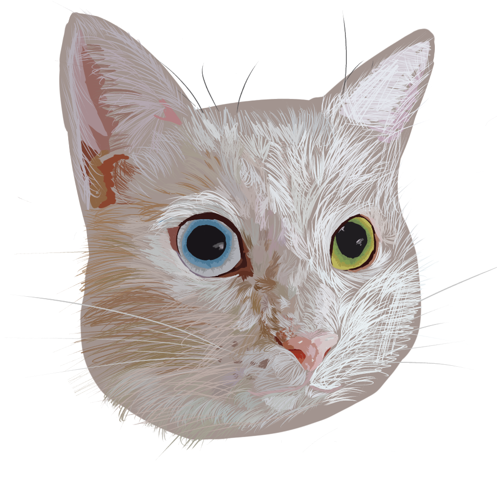 KITTTYYYYY - ibisPaint