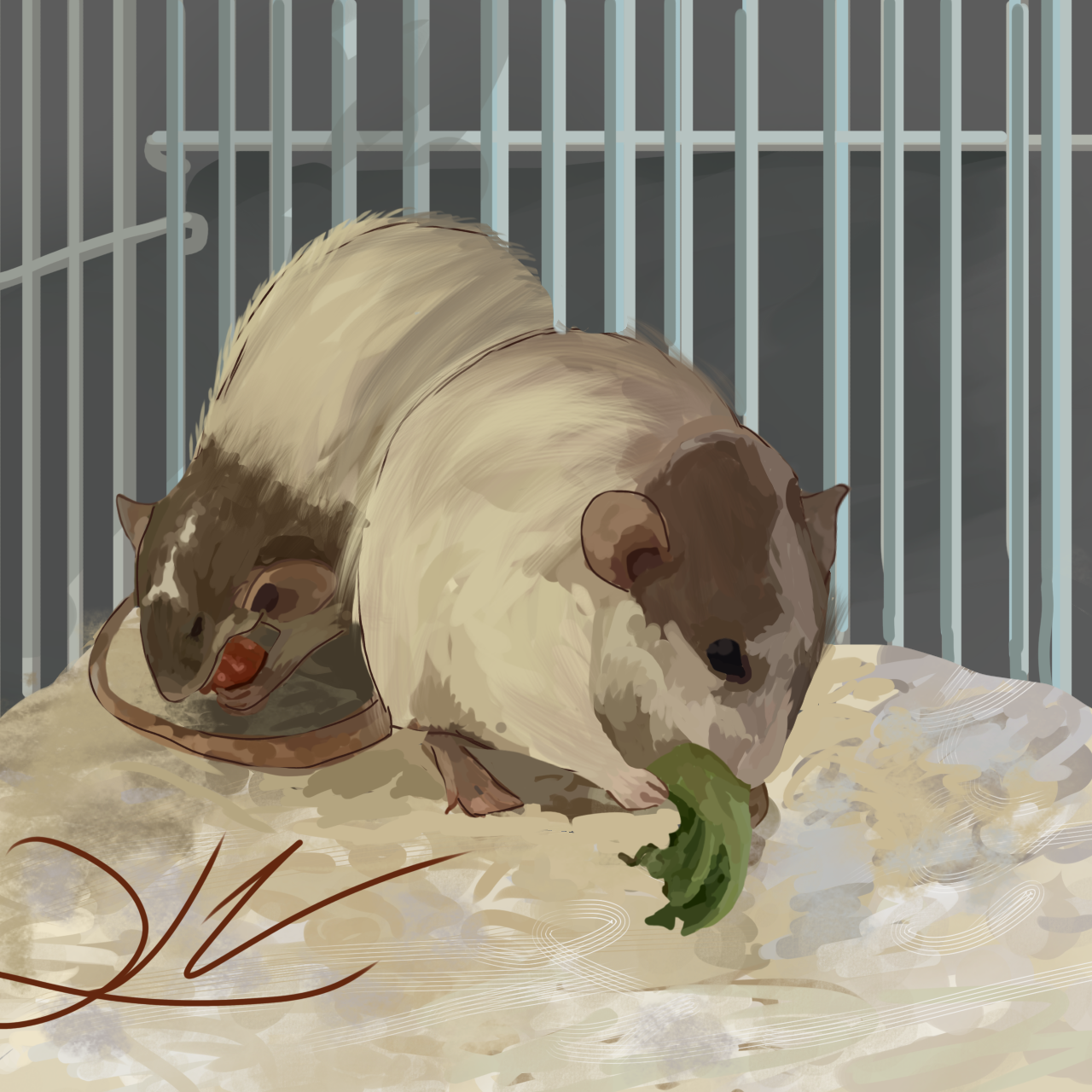 My beautiful baby rats eating - ibisPaint