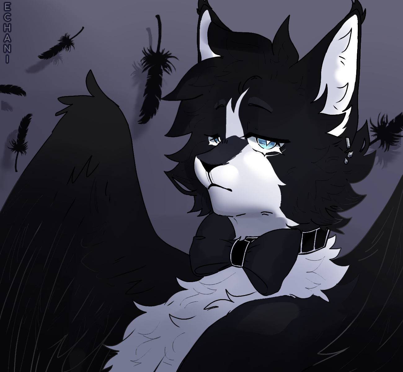 feathers - ibisPaint