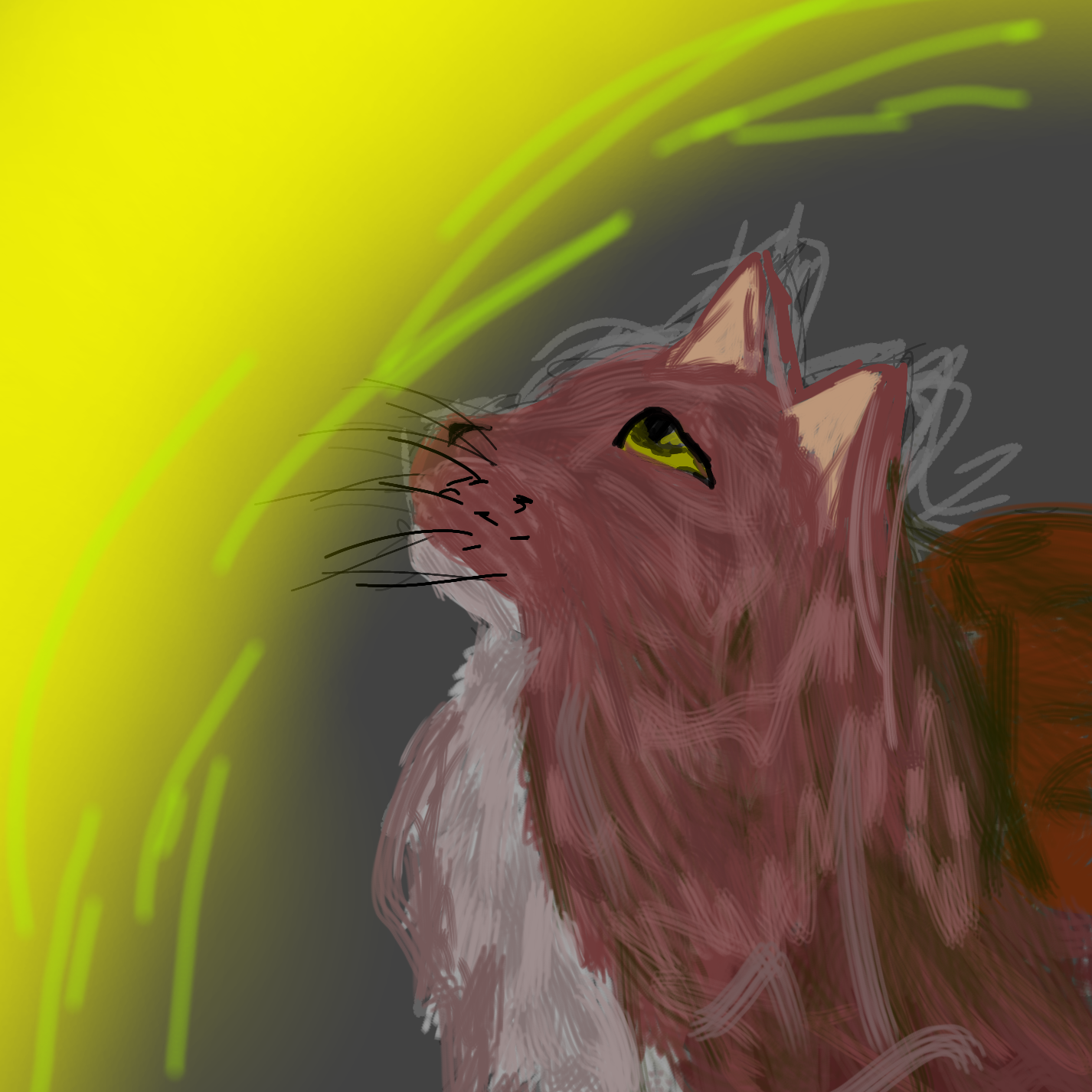 𝚔𝚒𝚝𝚝𝚢 - ibisPaint