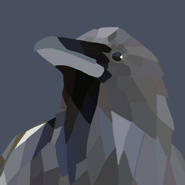 Raven - ibisPaint