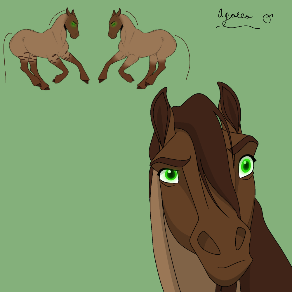 Apollo - Reference Sheet - ibisPaint