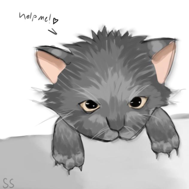 Gray kitty hanging from building! - ibisPaint