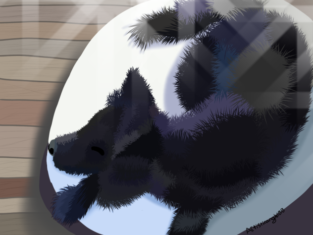 Semi-Realistic Dog Portrait (Edited) - - ibisPaint