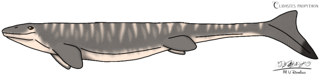 Clidastes propython - ibisPaint