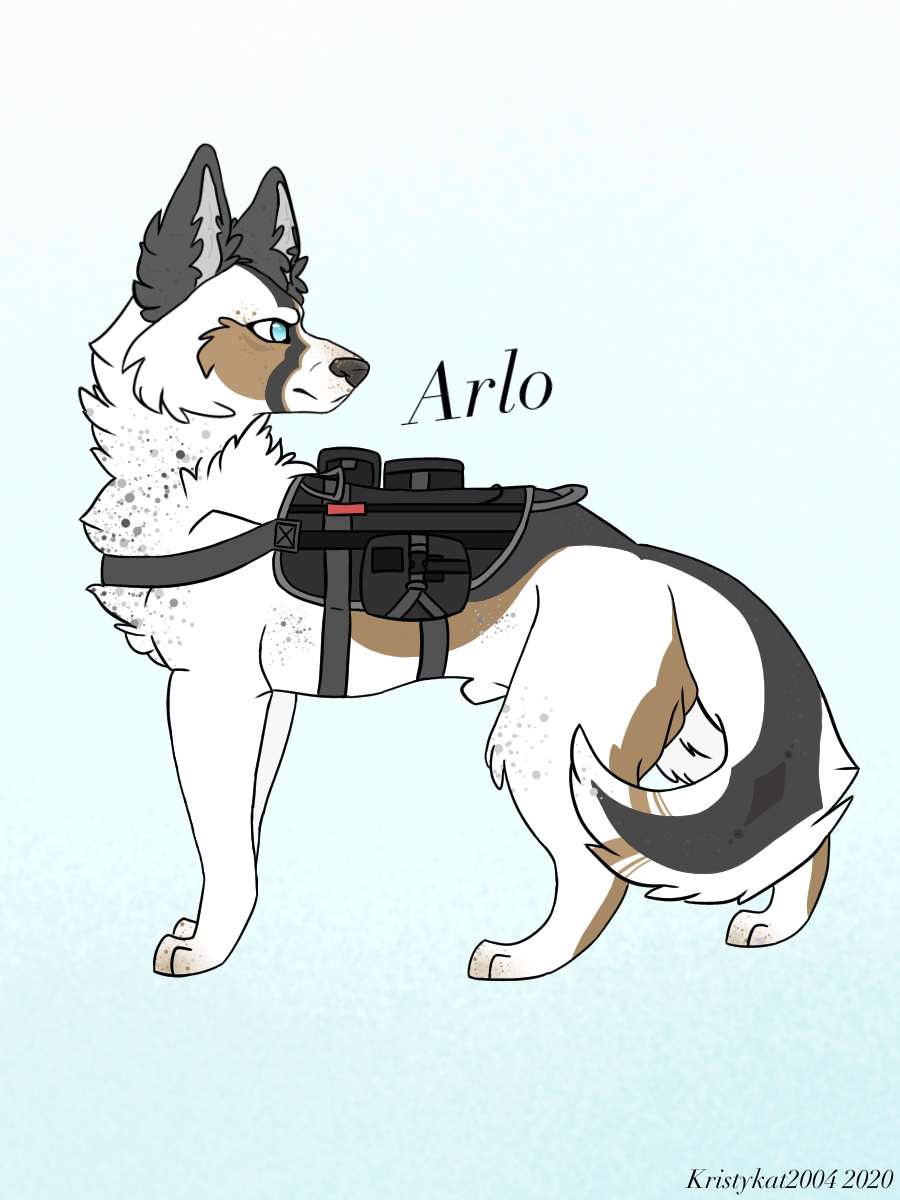 Arlo the military dog - ibisPaint