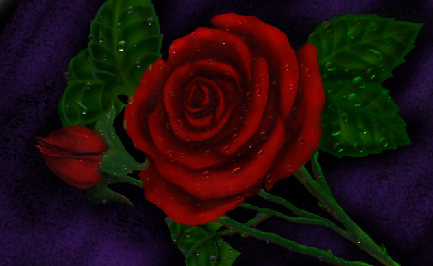 A Rose for a Rose - ibisPaint