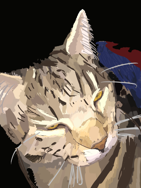 my cat - ibisPaint