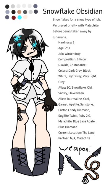 Snowflake Obsidian - ibisPaint