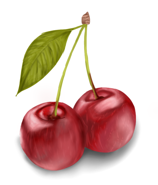 cherries - ibisPaint