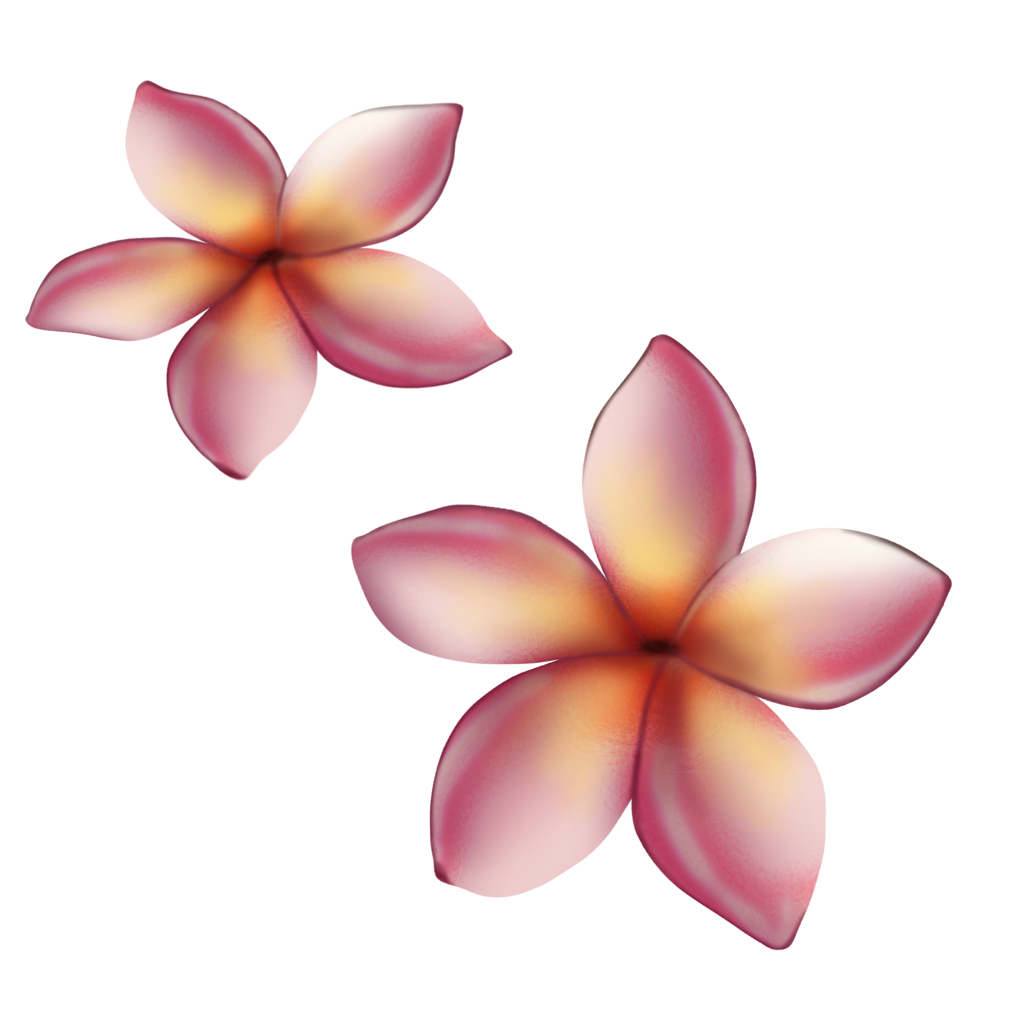 pink flower - ibisPaint