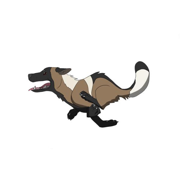 Dog Gallop Profile - ibisPaint