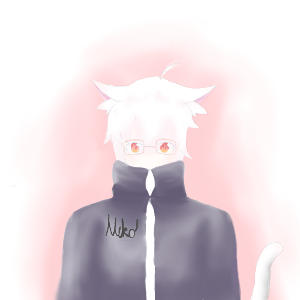 𝙽𝚎𝚔𝚘~~~ - ibisPaint