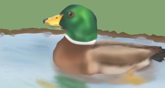 Duck - ibisPaint