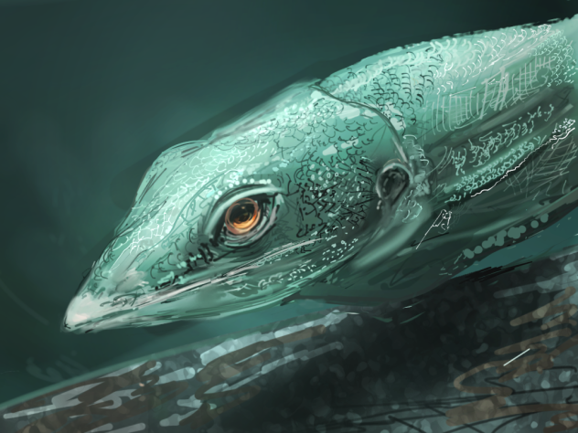 Lizard - ibisPaint