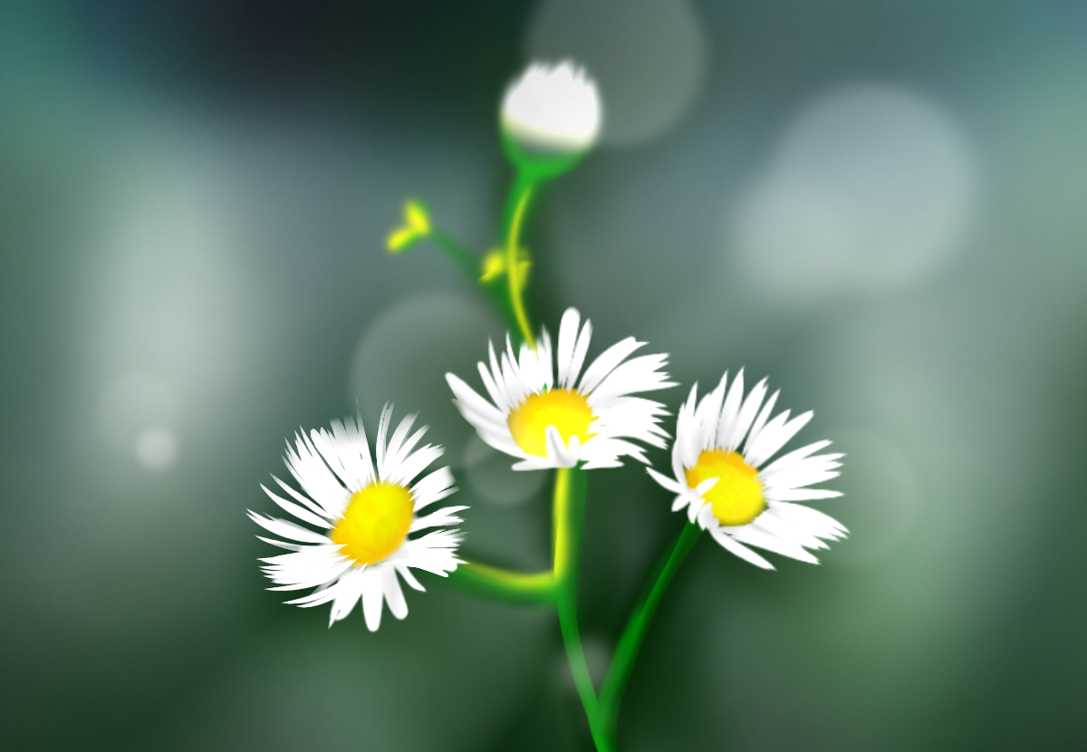 little white flowers - ibisPaint