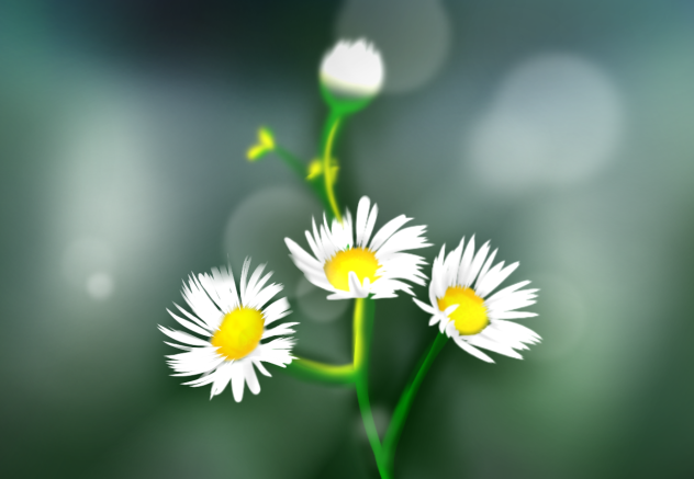little white flowers - ibisPaint