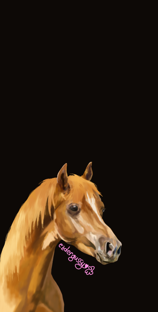 arabian horse - ibisPaint