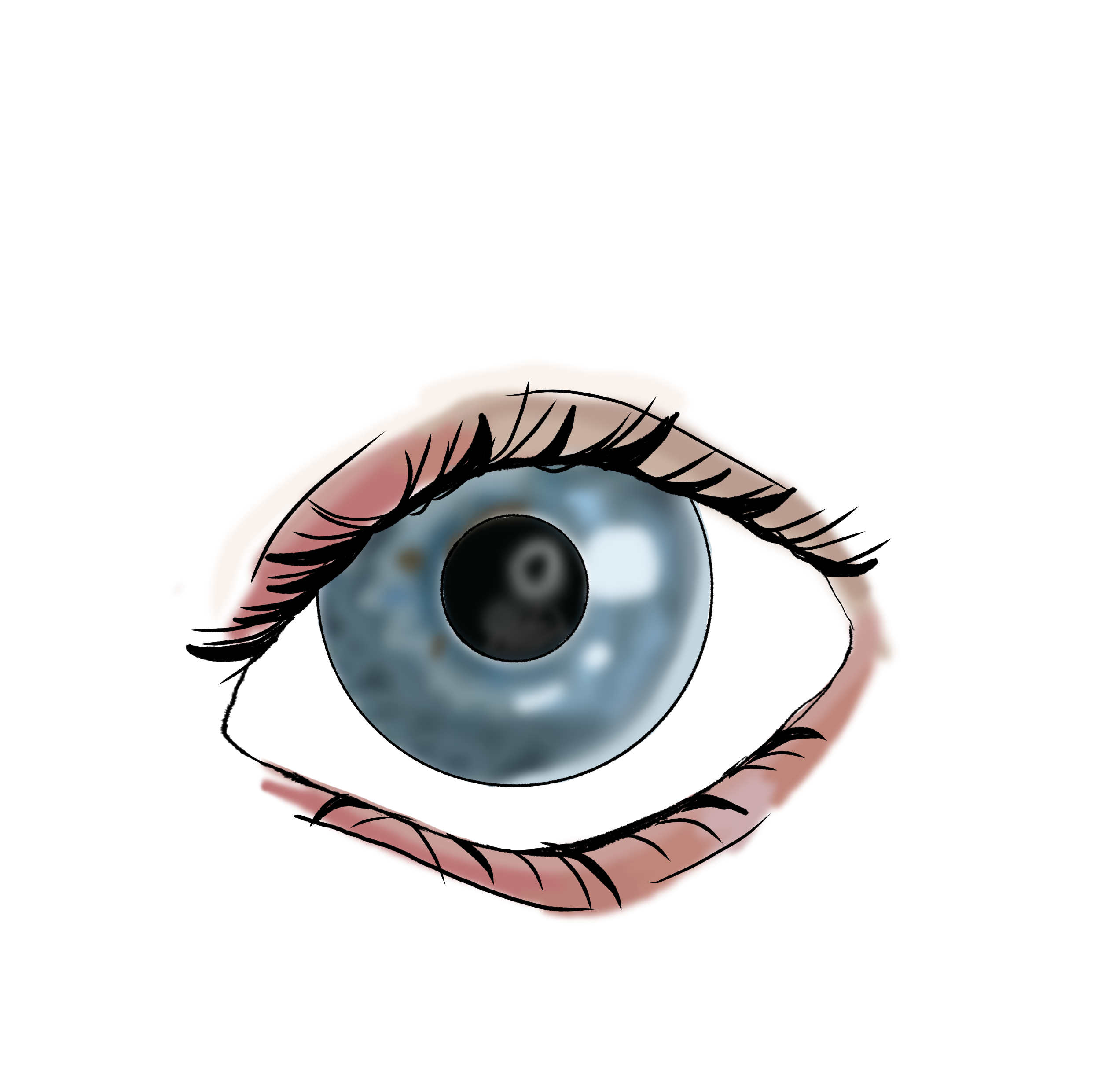 Blue eye ig - ibisPaint