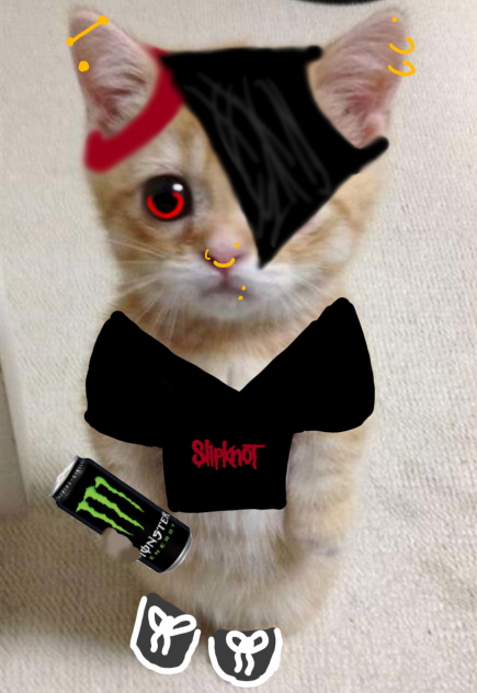 emo cat - ibisPaint