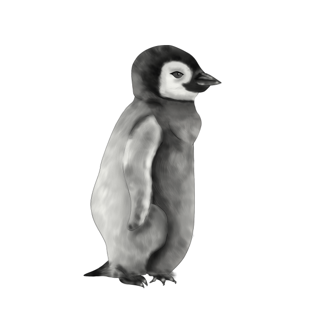 Penguin (side view) - ibisPaint